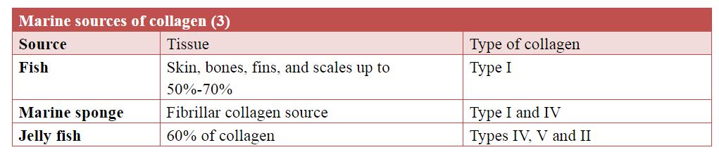 Best Collagen Products in Dubai | Collagen for Anti-Aging Skin